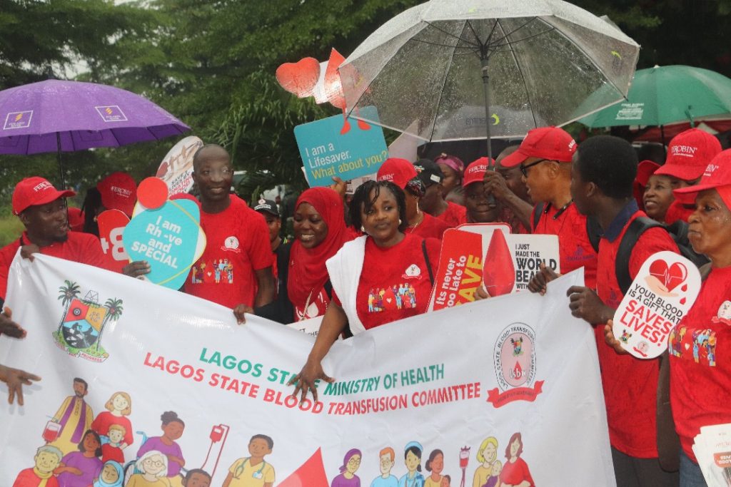 FG unveils strategic plan, ethical codes for traditional medicine ...